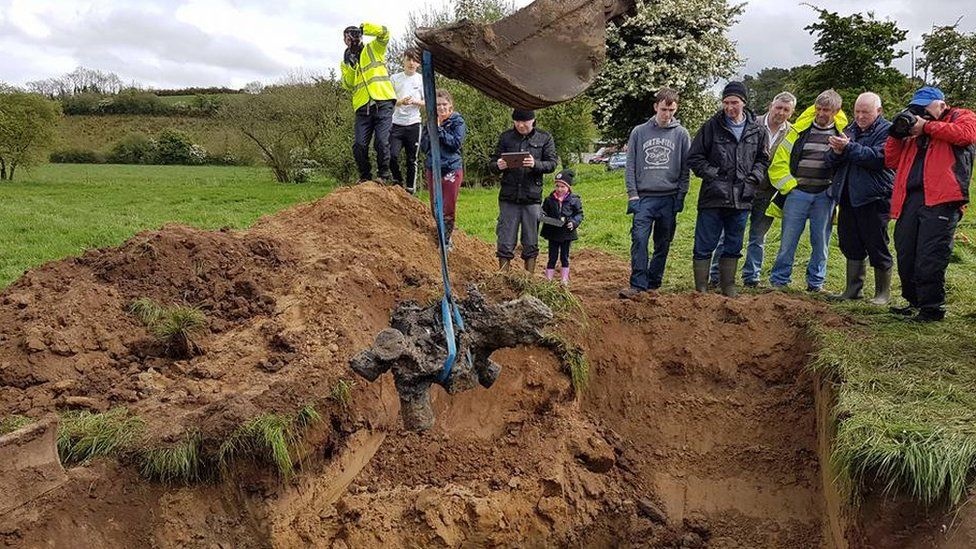 RAF Spitfire remnants unearthed in County Monaghan - BBC News