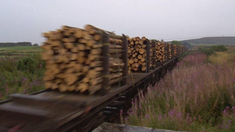 Timber moved by rail for first time in a decade - BBC News