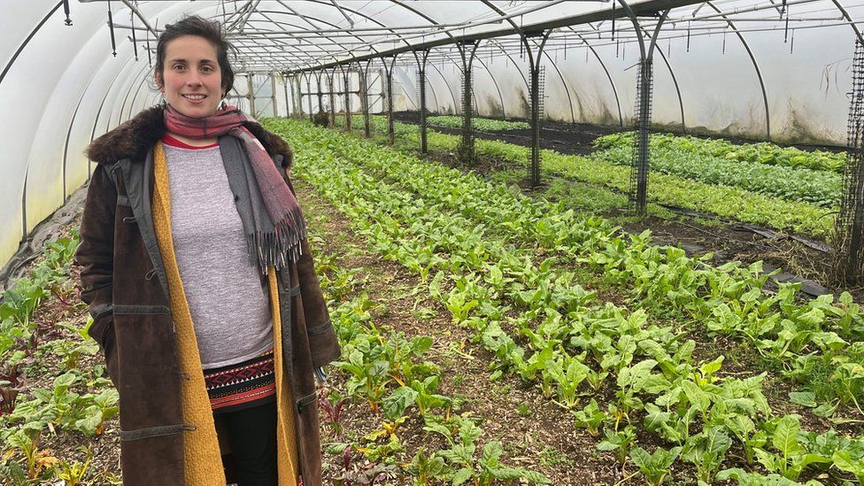 Amaeth: 'Pwysig deall o ble ddaw ein bwyd' - BBC Cymru Fyw