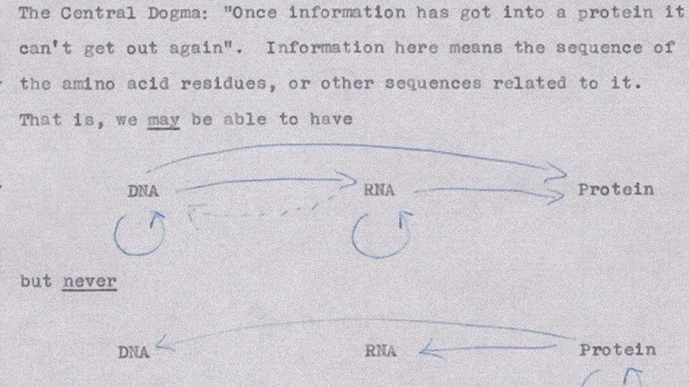 The lecture that changed biology - BBC News