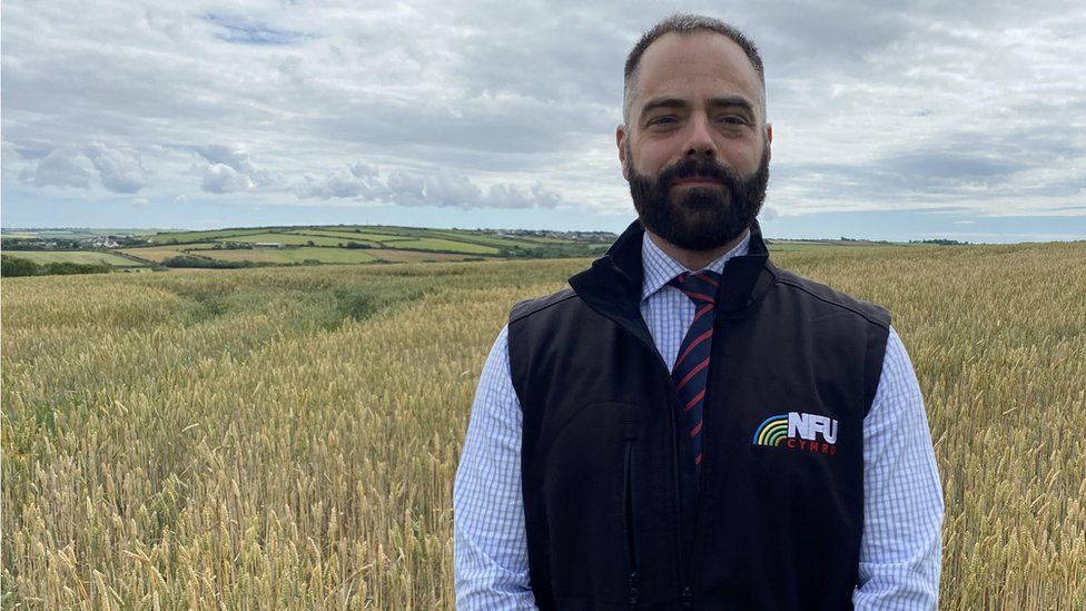 'Angen stopio gwrthwynebu golygu cnydau'n enynnol' - BBC Cymru Fyw