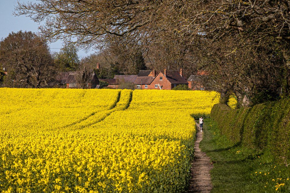 England's Big Picture: 17 April - 23 April 2023 - BBC News