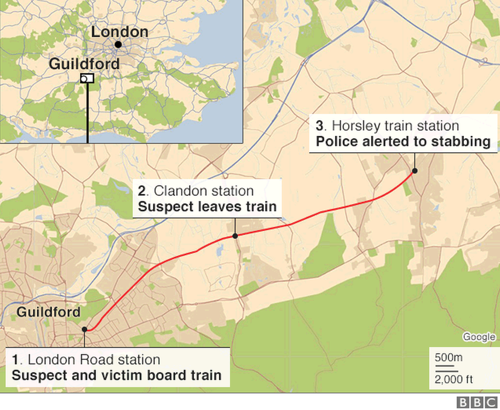 Darren Pencille: Lee Pomeroy Guildford train stab attacker jailed for ...