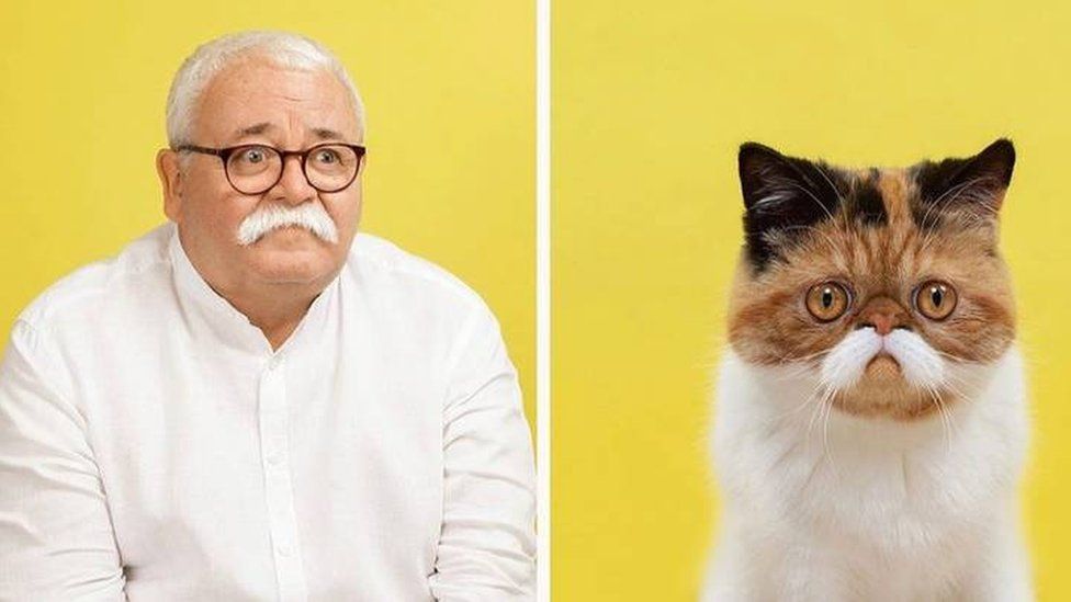 Meet the cats with human lookalikes! - BBC Newsround