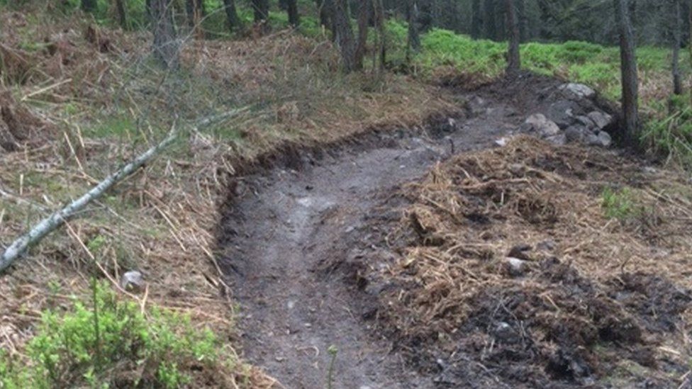 DIY mountain bike tracks 'damaging land' - BBC News