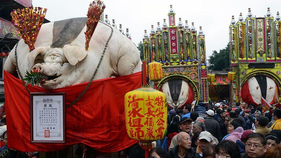 Holy Pig: Taiwan parade draws crowds and cruelty claims - BBC News