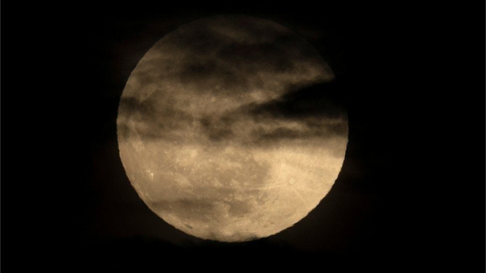 Super flower blood moon: First pics - BBC Newsround