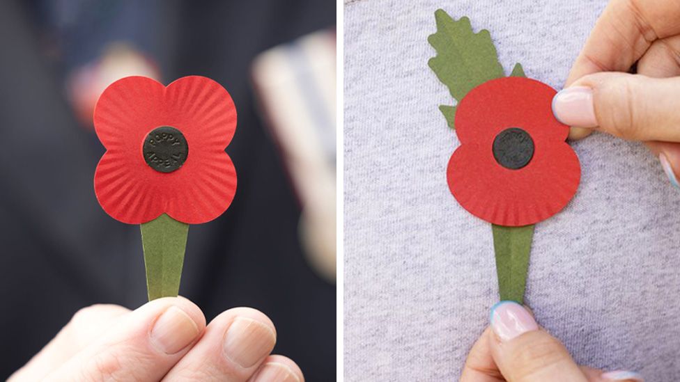 Remembrance Sunday: What's different about the Scottish poppy? - BBC News