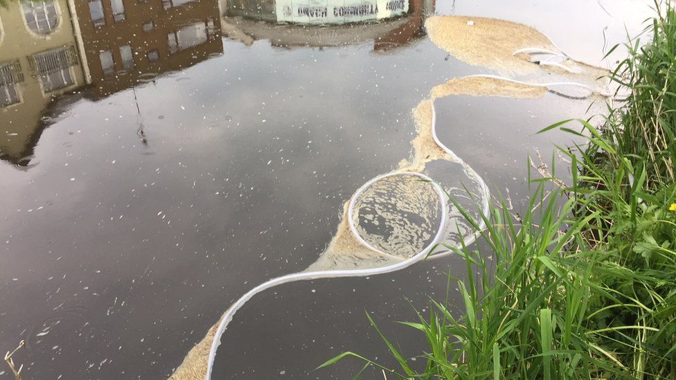 Major slurry spill into Tyrone's Owenreagh river - BBC News