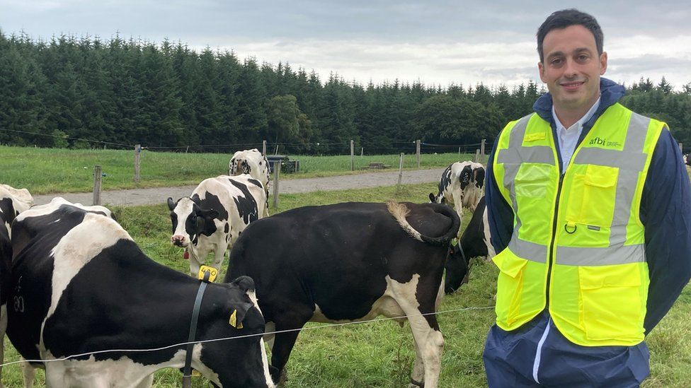 Northern Ireland agriculture: Turning tonnes of dung from waste to ...