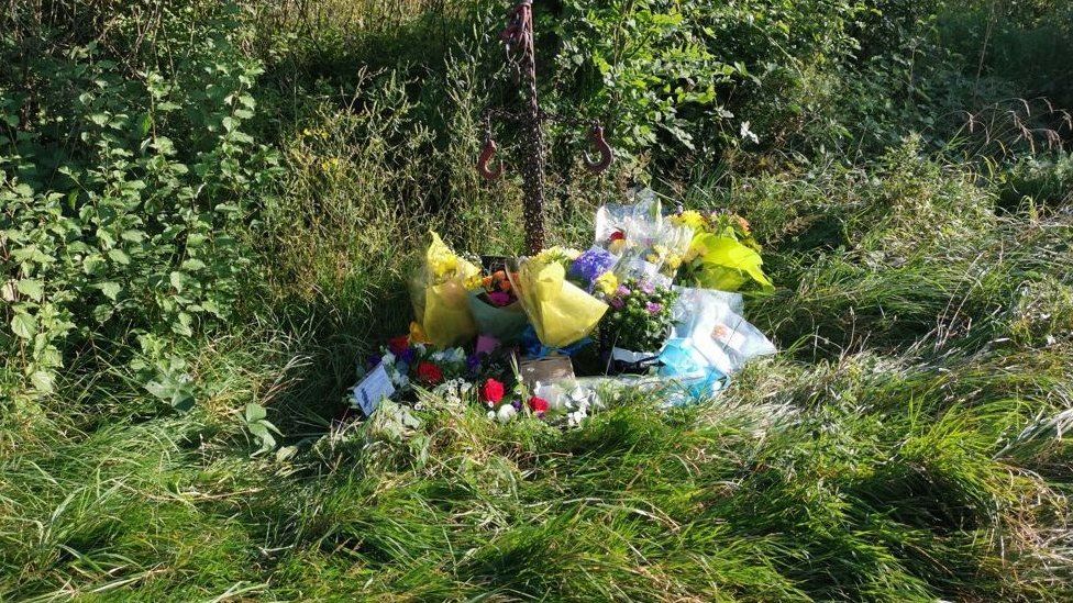 Andover A303 crash: Michal Kopaniarz pleads guilty over three deaths - BBC News