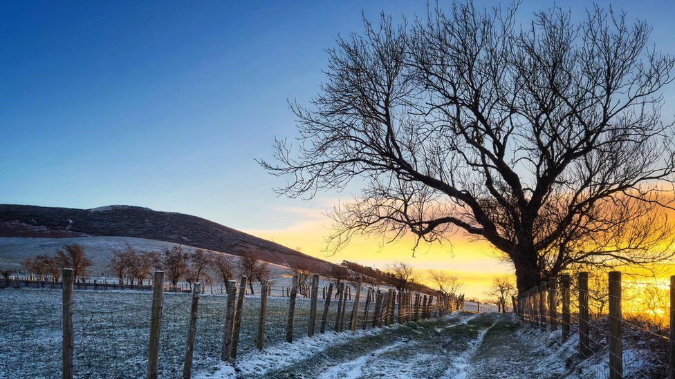Tom Bown: Y dyn o Fôn sy'n mesur glawiadau ers 1948 - BBC Cymru Fyw