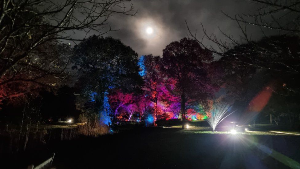 The Glow: Trail of lights created at RHS garden - BBC News