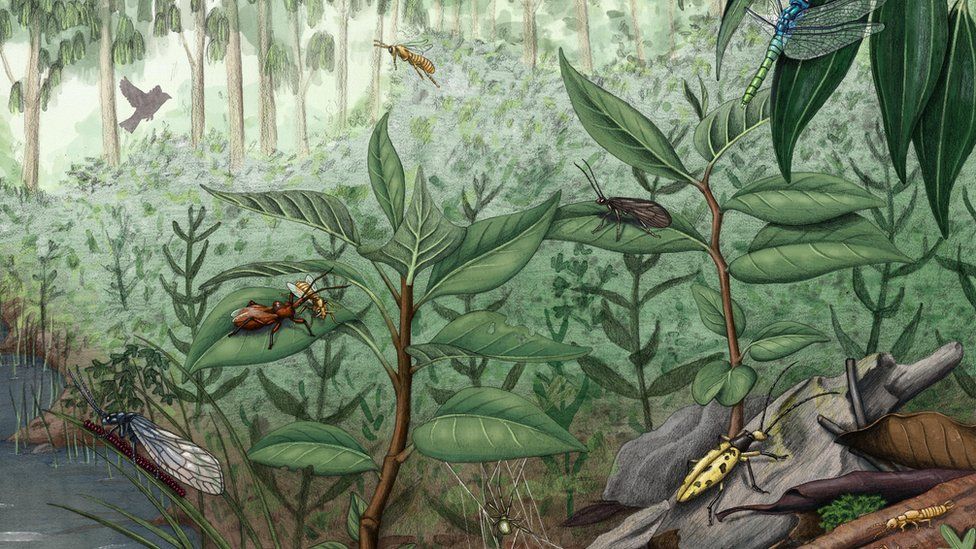 Australia: New fossil site reveals Australian outback was once home to ...