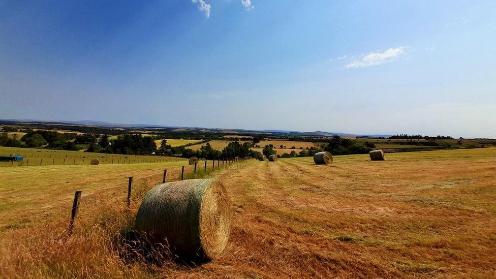 Scotland could see hottest day on record amid heatwave warning - BBC News