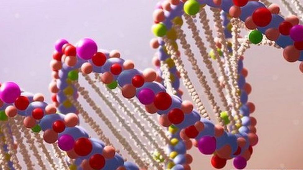 DNA project to decode 'all complex life' on Earth - BBC News