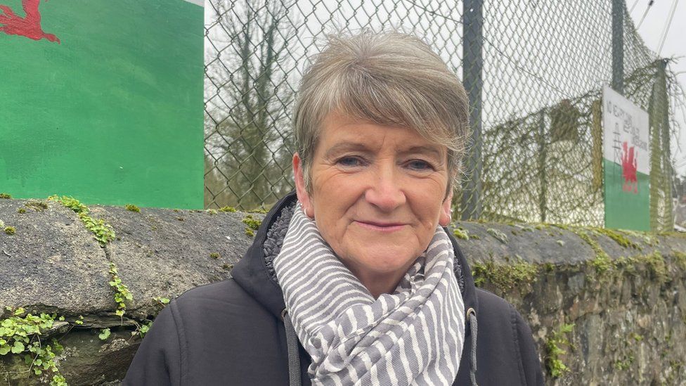 Cynllun peilonau yn 'sarnu lle bendigedig i fyw' - BBC Cymru Fyw