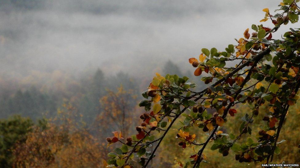 Striking shades of autumn - BBC Weather