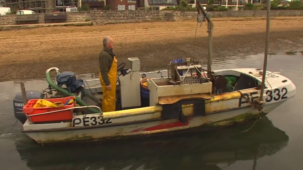 Poole cockle fishermen lead sustainable fishing drive - BBC News