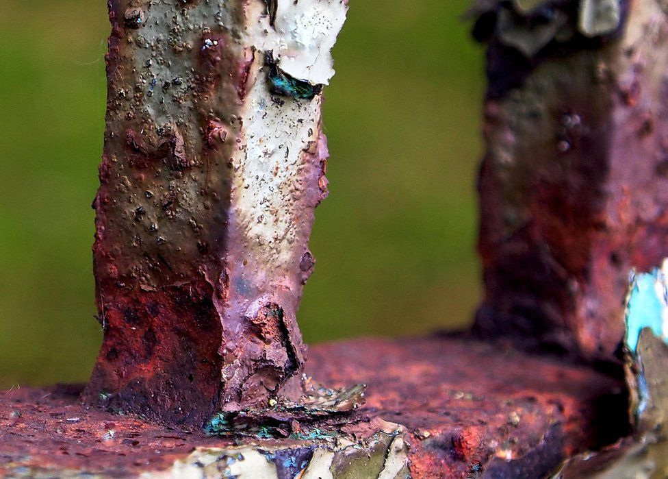 Your pictures: Decay - BBC News