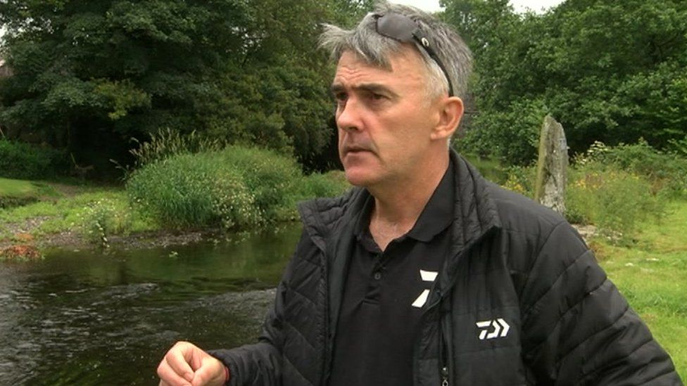 Llygredd amaethyddol yn 'difetha pysgota' yng Nghymru - BBC Cymru Fyw