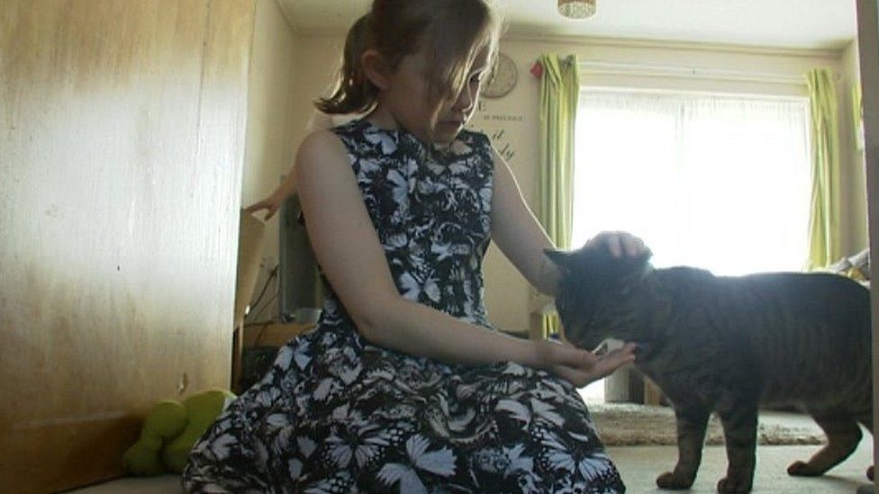 Bereaved Sussex girl's cat allowed to stay - BBC News