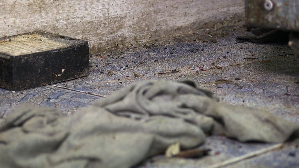 Call for dirty restaurants to display hygiene ratings - BBC News