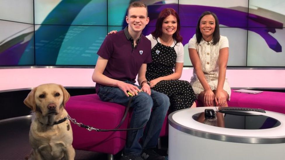 New Blue Peter dog: Meet Henry, the beagle-basset hound cross - BBC ...