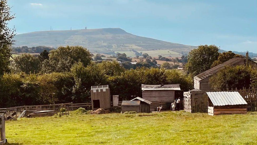 Ludlow farm that supports local children receives £15k grant - BBC News