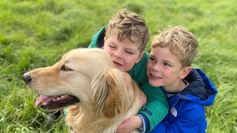 Guide dogs: Beano comics and charity buddy up to raise awareness - BBC ...