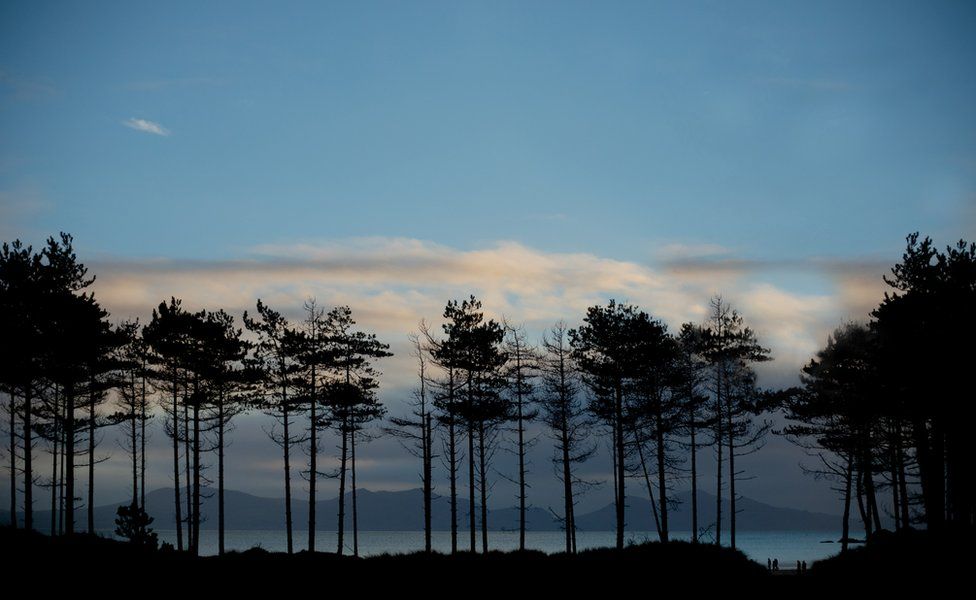 Y gaeaf... drwy lens camera Clare Harding - BBC Cymru Fyw