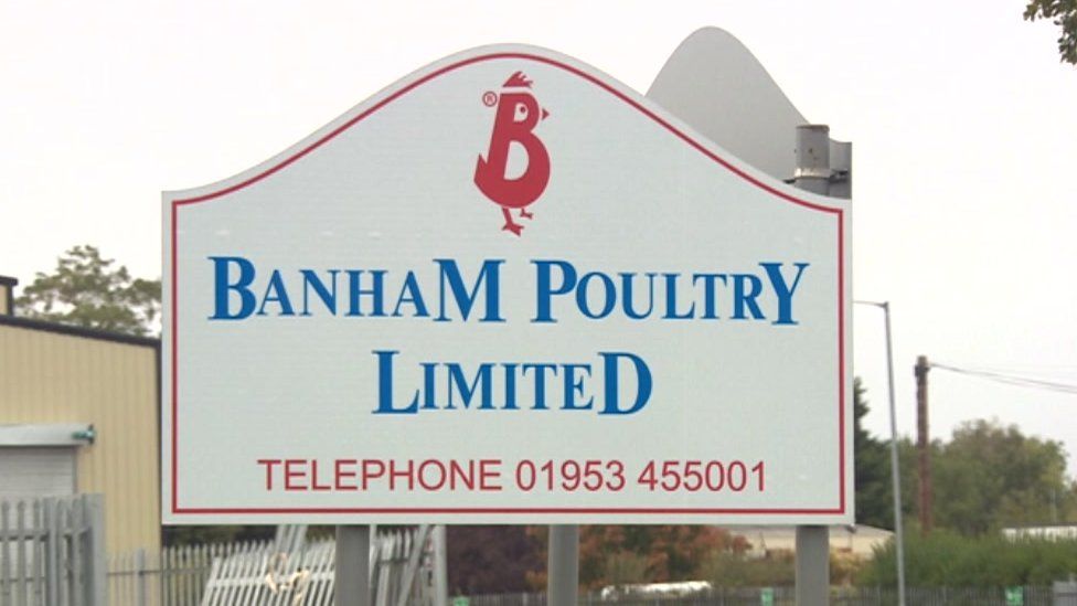 Norfolk poultry firm had £40m debts before sale - BBC News