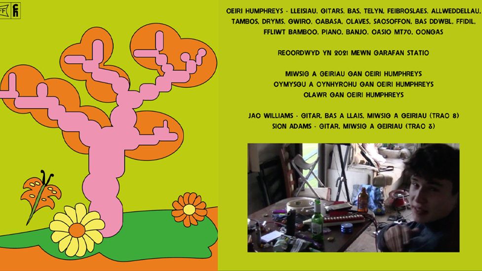 Pys Melyn: llwyddo er gwaetha bod 'yn horizontal' - BBC Cymru Fyw