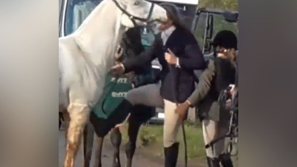 Cleared pony owner criticises 'trial by social media' - BBC News