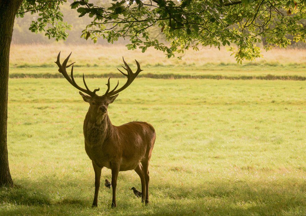England's Big Picture: 4 - 10 September - BBC News