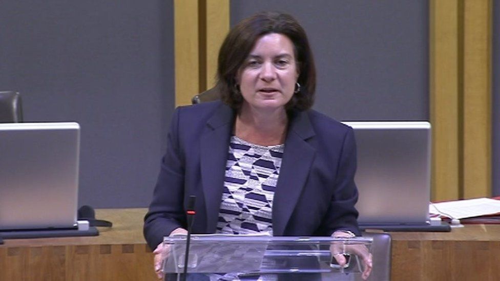 Alun Davies: 'Gwastraffu gormod o amser, egni, ac adnoddau ar safonau ...