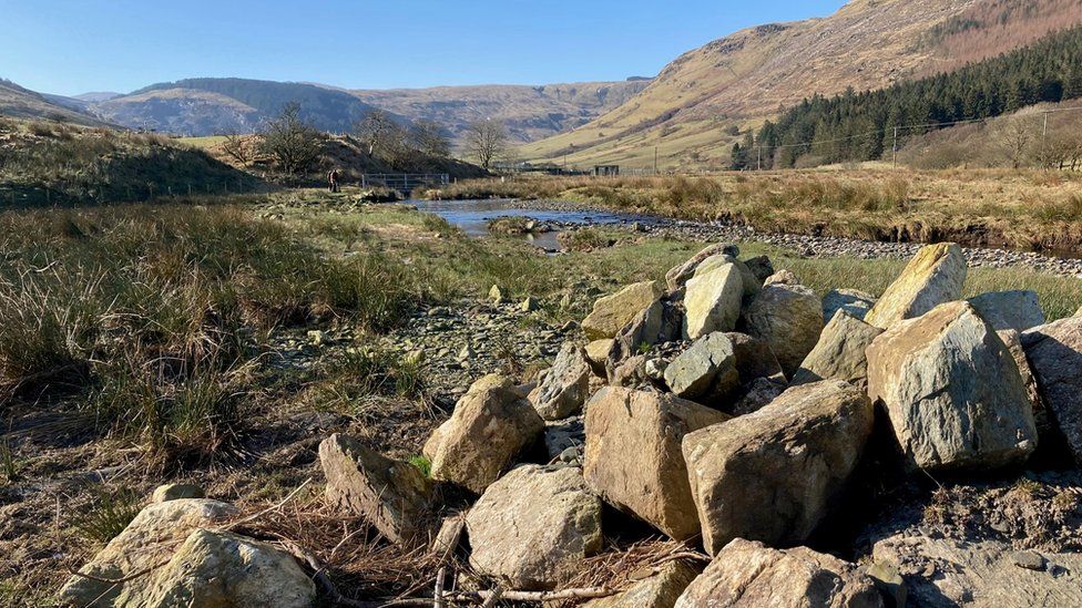 Cynllun i droi mynyddoedd yn 'sbwng' i atal llifogydd - BBC Cymru Fyw