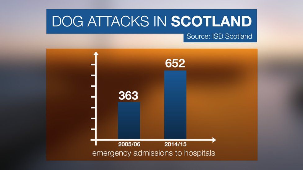 Scottish hospitals see 80% increase in dog attack victims - BBC News