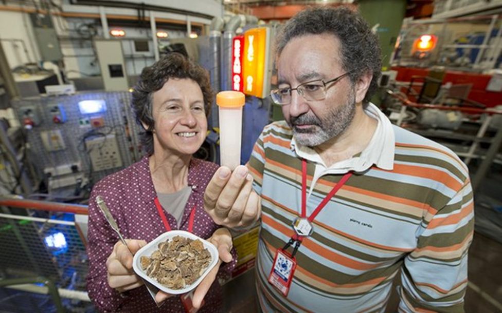 Neutron beam aimed at 'un-burning' bone - BBC News