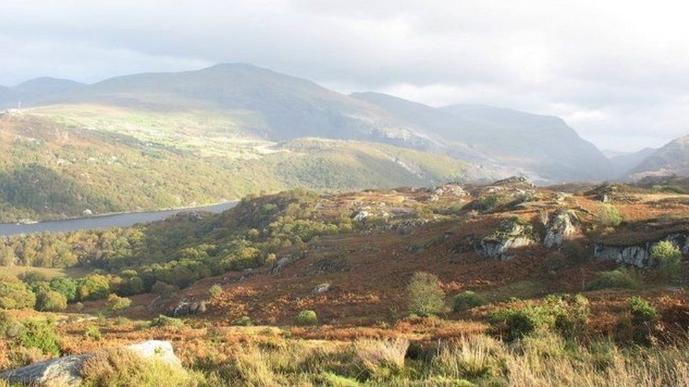 Cofio trychineb Cwm-y-glo - BBC Cymru Fyw