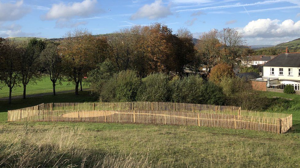 Climate change: Tiny forest planted in Caerphilly park - BBC News