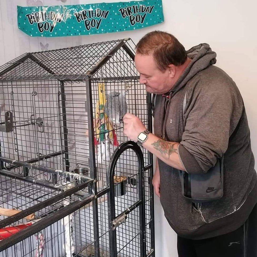 Leicester parrot goes missing after firefighter attempts tree rescue ...