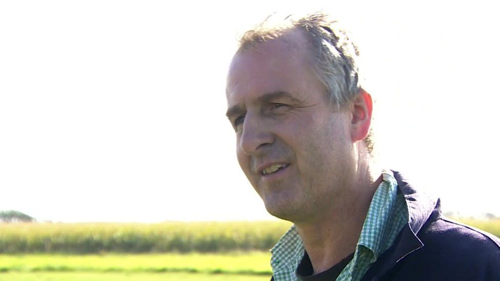 Pilot lands plane after propeller falls off at 2,000ft - BBC News