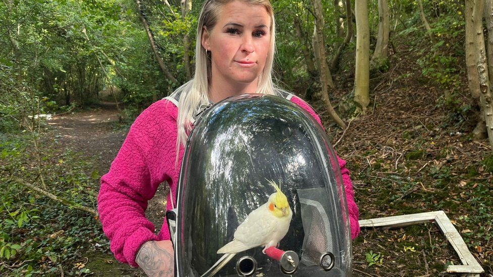 Woman searches for missing parrot using Addams Family theme - BBC News
