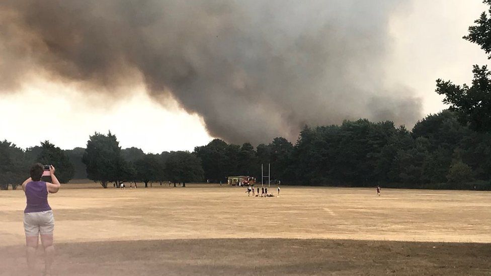 Wildfires break out on Dorset heath commons - BBC News