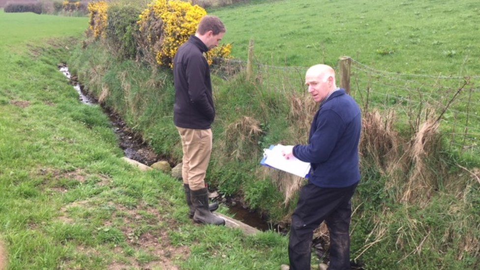 New voluntary farm inspection scheme trialled - BBC News