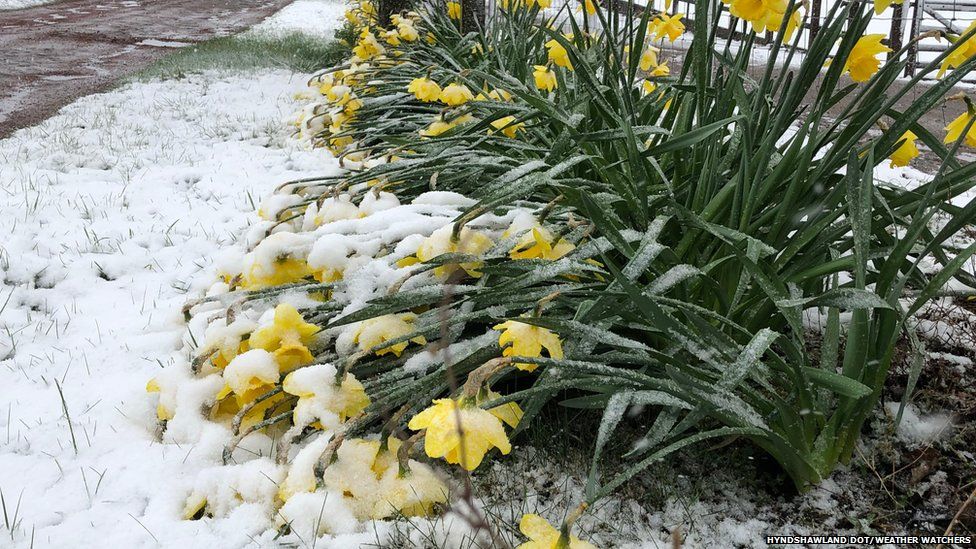 April snow showers - BBC Weather