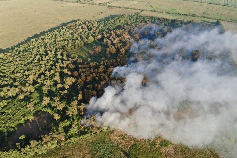 Prestwick Carr: Heavy rainfall helps tackle nature reserve wildfire ...