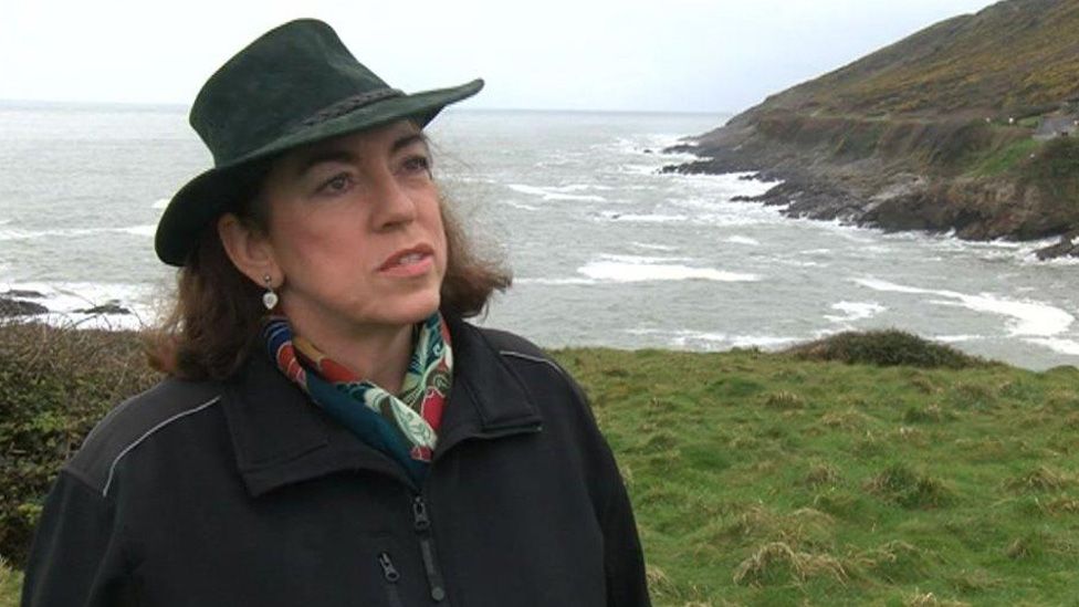 National parks 'need clear direction', report author says - BBC News