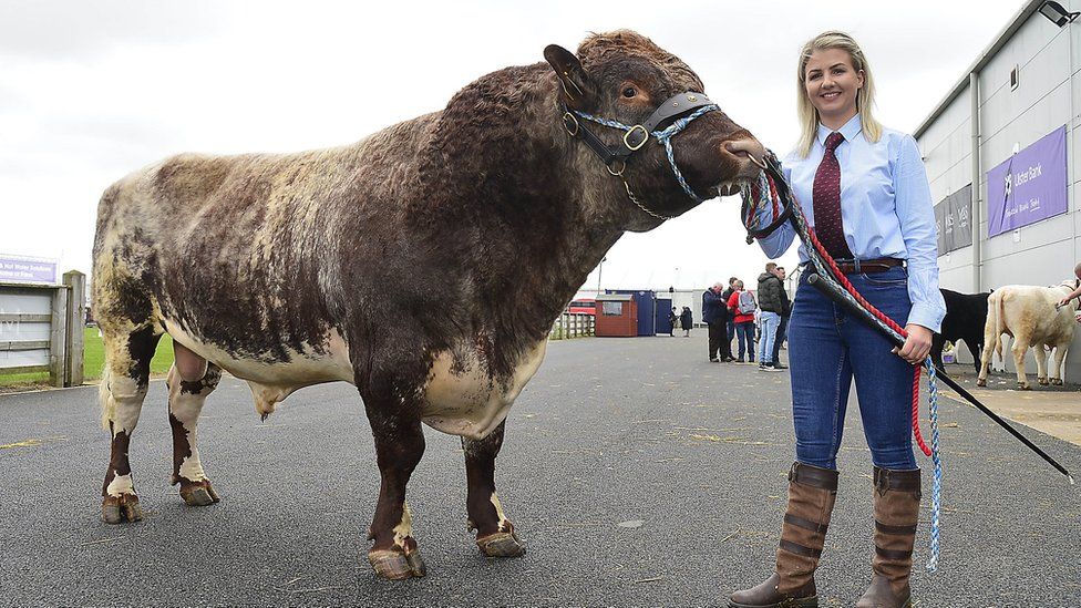 In pictures: Families flock to Balmoral Show - BBC News